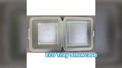 Eco Friendly Food Tray Large Dual Section