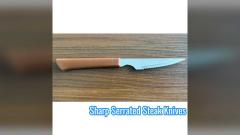 Bulk Steak Knives Plastic Handle Serrated Blade