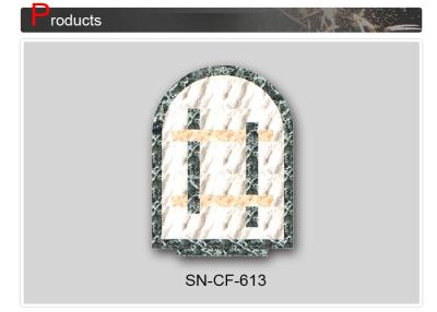 Cina uso d'impionbatura del pavimento del PVC di progettazione di 2mm nella decorazione della cabina dell'elevatore in vendita