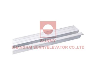 Cina Davanzale e grembiule del pannello della porta di apertura del centro operatore della porta dell'elevatore del passeggero in vendita