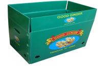 China Light Weight Corrugated Plastic Boxes for sale