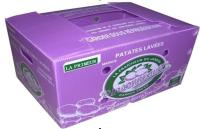 China Polypropylene Corrugated Plastic Boxes / Waterproof Plastic Fruit Boxes for sale
