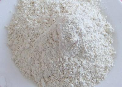Cina 26 - 40 ingranano i granelli fritti candidi/polvere dell'aglio senza radice in vendita