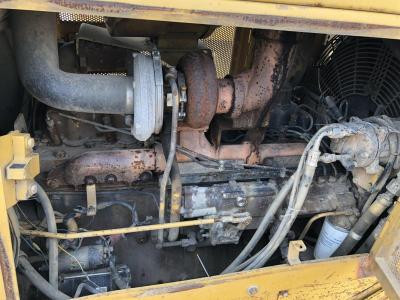 Cina Trattore a cingoli originale di Caterpillar del bulldozer del gatto D6g del Giappone nella condizione di lavoro perfetta con il prezzo ragionevole. Gatto D3c, D4c, D5g, D5h. D5m sono sulla vendita. in vendita