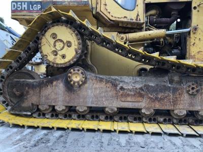 Cina Trattore a cingoli nuovissimo 70% originale di Caterpillar del bulldozer del gatto D5h del Giappone nella condizione di lavoro eccellente con il prezzo di stupore. Il gatto D3c, D4c, D5g, D5h è sulla vendita. in vendita