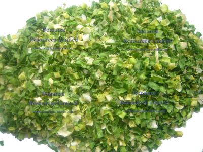 China Dehydrated Leeks Green and white for sale