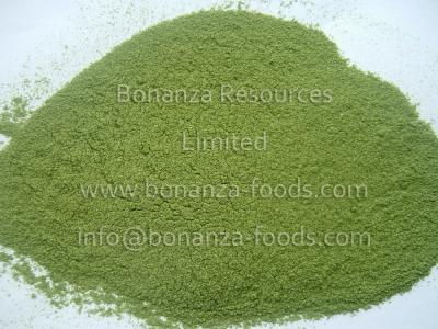 China Dehydrated Leeks Green and white for sale