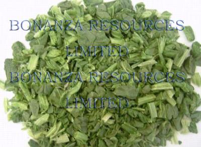 China Sell Freeze Dried Spinach Food Ingredients for sale