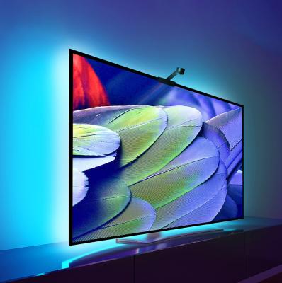 Cina Lampadina ambientale di RGBIC WiFi LED TV, striscia ambientale del LED per la TV con la macchina fotografica in vendita