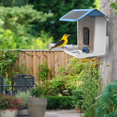 Cina 135 gradi dell'uccello solare di Buddy Feeder Camera Quadrate Shape alimentato in vendita