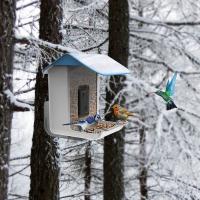 China 135 Degrees Smart Bird Feeder Camera AI Recognizes With Battery Power Source for sale