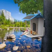 China Garden Transparent Smart Bird Feeders With Camera ABS Shell Material for sale