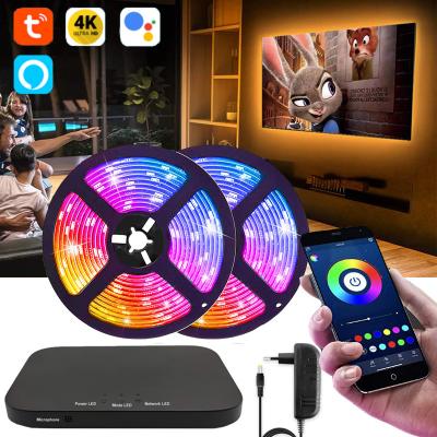 Cina Colore d'accensione ambientale astuto della striscia 12V RGB di sincronizzazione della TV che cambia per la lampadina della TV in vendita