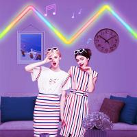 China Dimmable DIY Glide Wall Light Bars Multicolor Segmented Music Sync for sale