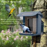 China 2.5L Storage Smart Bird Feeder Camera 1080P HD Automatic DC 5V 2A for sale