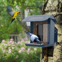 China Outdoor Wild Birdfeeder With Camera Motion Detection 8m Version Range for sale