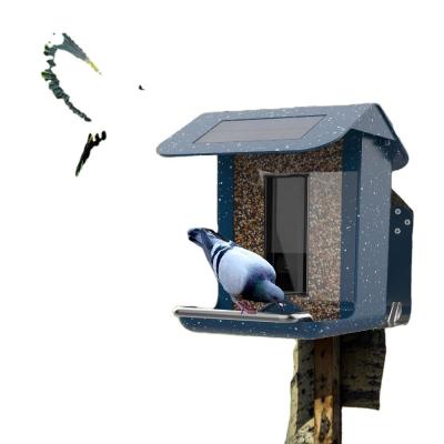 Cina Multi versione di scopo 1080HD di AI della fauna selvatica dell'uccello della macchina fotografica senza fili astuta dell'alimentatore in vendita