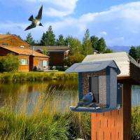China Wifi Smart Bird Feeder Camera AI Recognize 8m Version Range For Outdoor Garden for sale