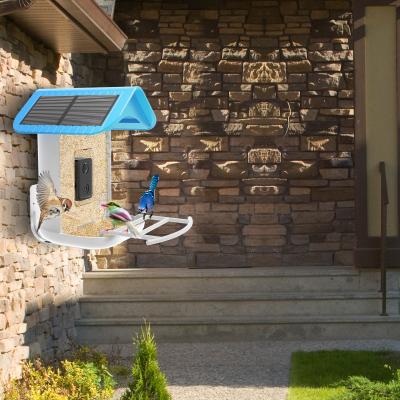 China Bird Feeder House AI herkent vogelsoorten Smart Outdoor Garden Wildlife Bird Feeder Camera Te koop