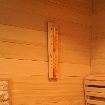 Cina Persona della stanza 2 di Heater Indoor Wooden Steam Sauna della cucina elettrica della cicuta in vendita
