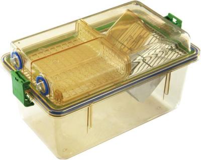 China Stainless Steel Modular Automatic Individually Ventilated Cage IVC For Lab Animal Equipment for sale