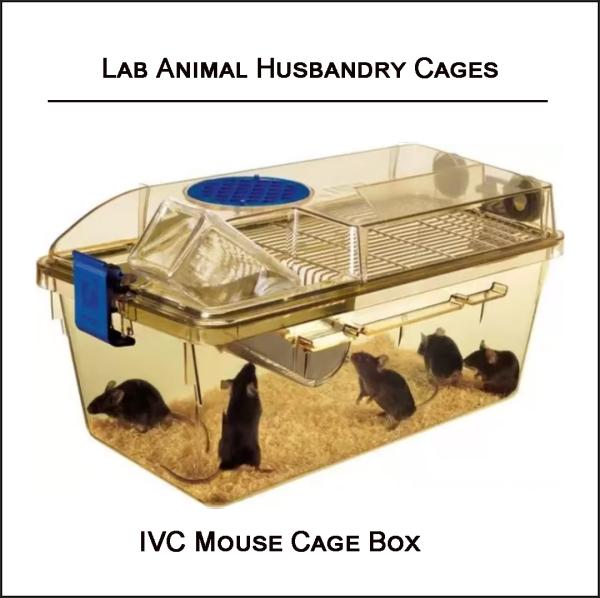 Quality Laboratory Mouse Breeding Cages IVC Sterility Pollution Prevention for sale