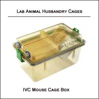 Quality Animal Laboratory Rat Housing Mouse IVC Individually Ventilated Cages for sale