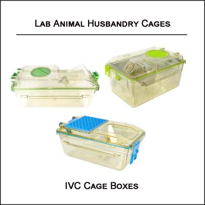 China IVC Mouse Rat Breeding Laboratory Animal Husbandry Pollution Free for sale