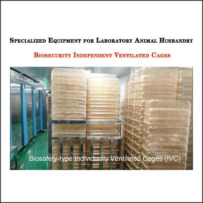 China Multi Layer Stacking IVC Lab Animal Cages Ventilated Rodent Housing for sale