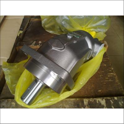China Rexroth A2FO125 61R-PBB05 Mechanische Hydraulische Pomp voor Industrieel Snel Verzenden Gietijzeren Materiaal Precisie Oplossing Te koop