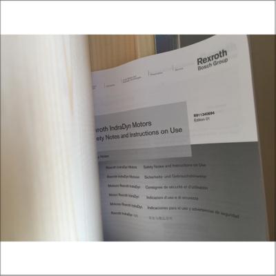 Cina Guida in ghisa per Rexroth MLS070S-3A-0600-NNNN con spedizione veloce e pagamento sicuro per applicazioni industriali in vendita