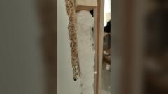 Fireproof Foam Adhesive Sealant For Doors Windows