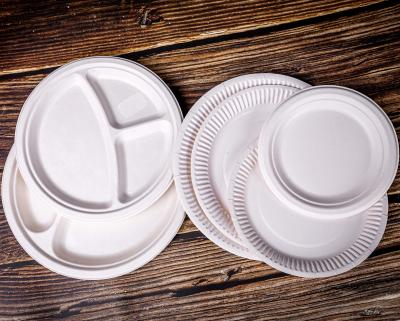 China 100% Eco-Friendly & Biodegradable Sugarcane Plate in 6