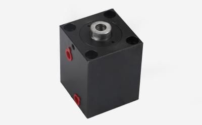 Cina OEM Logo Thin Hydraulic Cylinder in vendita