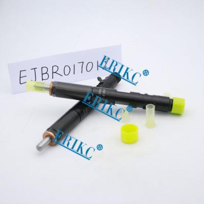 China 8200365186  For Delp injector parts EJBR01701Z original For Delp injector R01701Z ( 82 00 365 186 )and 1701Z  For Renau for sale