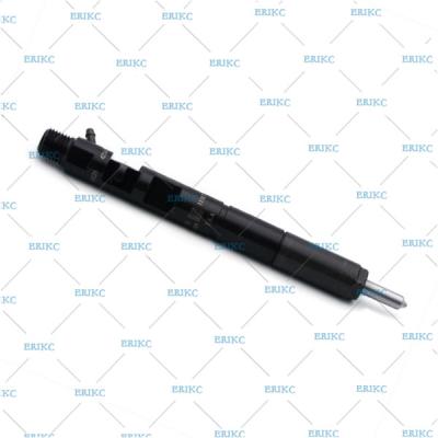 China EJBR05102D (28232251) Diesel Common Rail Injector For Delp R05102D injector rebuild 5102D for DACIA for sale
