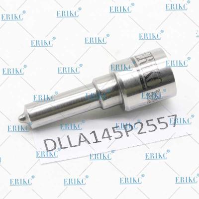 China ERIKC DLLA145P2557 Oil Burner Nozzle DLLA 145P2557 Mist Nozzle DLLA 145 P 2557 for 0445110808 for sale