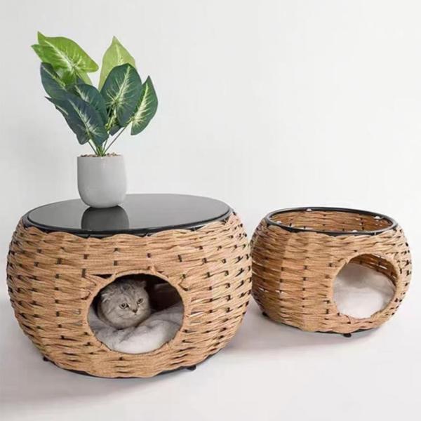 Quality High Quality Modern Cat House Glass Roof PE Waterproof Easy Clean Design for Living Room Outdoor Use All Seasons Pet Furniture for sale