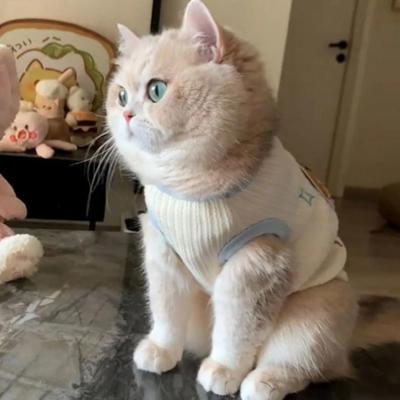 China Cute Polyester Pet Vest for Medium Dogs and Cats Summer Cooling Breathable Halloween Animal Print Christmas D Ring Dog Clothes for sale