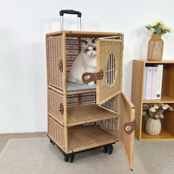 Quality Luxury Rattan & Metal Polyester Print Zipper Cat Carrier Luggage with Telescopic Handle and Wheels for Small Pets 10KG Capacity for sale