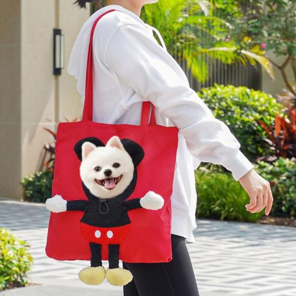 Quality New Design Modern Foldable Nylon Square Shoulder Bag Cat & Dog Carrier Portable Breathable Large Capacity Outdoor Pet Travel Bag for sale