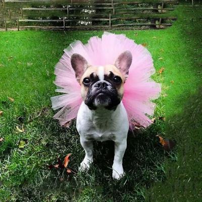 China Halloween Striped Tutu Skirt Dog & Cat Dress Tulle Soft Cosplay Cute Machine Washable All Seasons S/M/L for sale