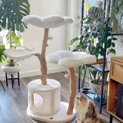China Cat Tree Tower Solid Wood Sisal Rope Climbing Frame Eco-Friendly Minimalist Modern Large Real Branch Luxury Carton for sale