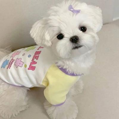 China Cool Pet T-Shirt Animal Print Cartoon Pullover for Bichon Frise Maltese XXL Anti-Shedding Clothes Summer Thin Cats Birthdays for sale