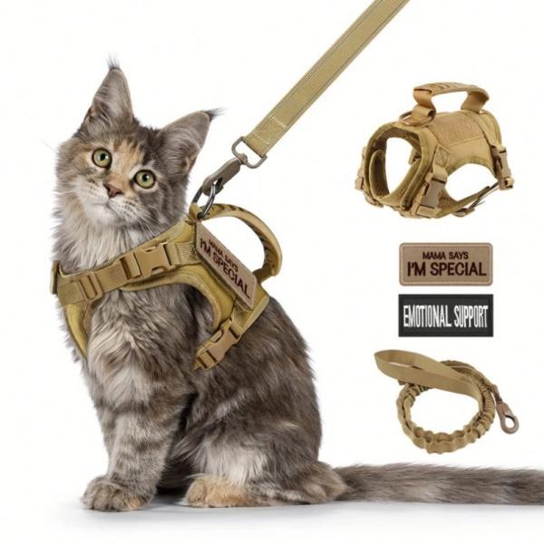 Quality Adjustable Tactical Retractable Leash for Dogs Cloth Material Cute Design Comfortable Fit Small Pets Training Vest 2 Patches for sale
