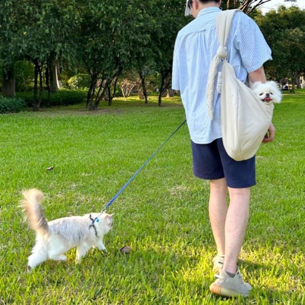 Quality Comfortable Foldable Lightweight Cotton Modern Pet Puppy Dog Carrier Backpack Zipper Closure Mesh Sling Travel Tote Shoulder Bag for sale