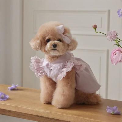 China XS Size Pet Princess Lace Dress for Small Dogs Teddy Bear Summer Coat Flying Sleeves for Cats' Birthday Christmas Celebration for sale