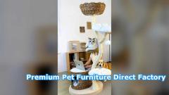 Premium Pet Furniture Direct From Professional Factory