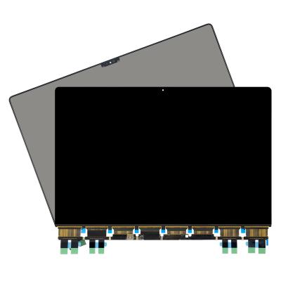 China MacBook Pro 16" LCD-Display-Ersatz A2991 2023 M3 MEC8408 zu verkaufen