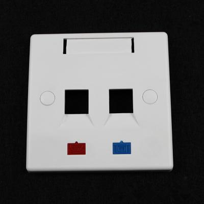 China New Telecom Standard 2ports RJ45 Face Plates 3MTYPE RoHs ABS Material Double Ports Face Plate 86X86 for sale